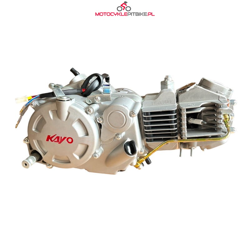 Silnik Z155 z przewodami chłodnicy pitbike Kayo - motocyklepitbike.pl